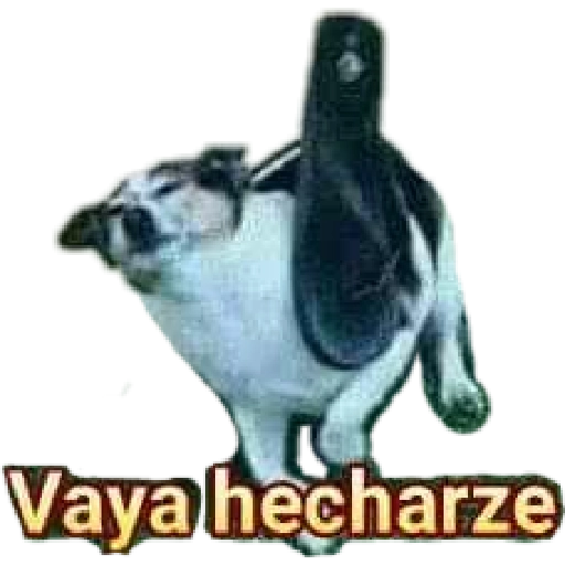 Sticker Maker - 00013