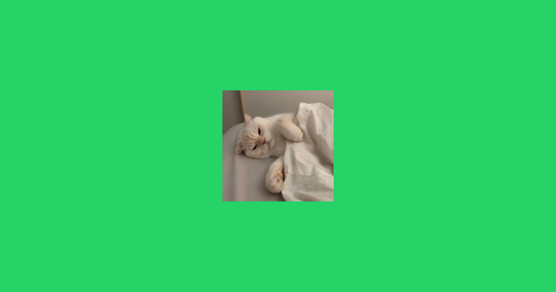 Sticker Maker - 12.2 Cansado Dormido