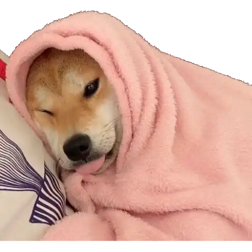 Sticker Maker - 12.2 Cansado Dormido
