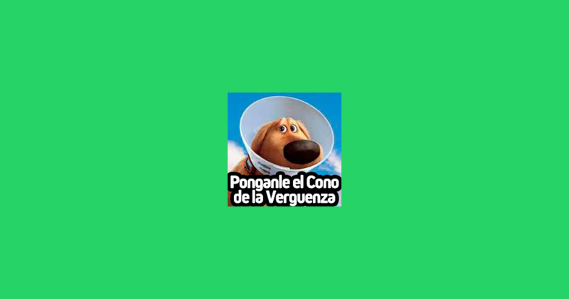 Sticker Maker - 1.27 desepcionado Verguenza hipocrita