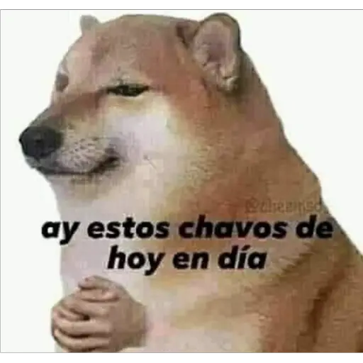 Sticker Maker - 15 Chavo ruco