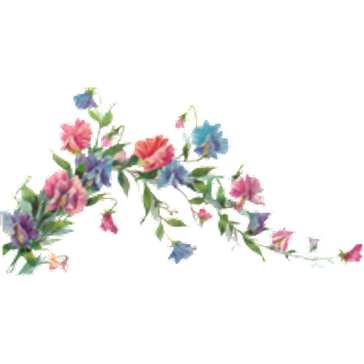 Sticker Maker