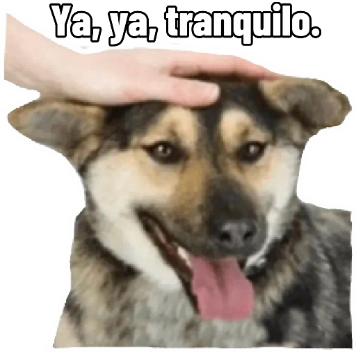 Sticker Maker - 2.17 Ignorar