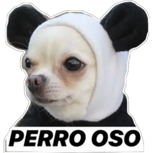 Sticker Maker - 3.13 Loser Me lo Logre