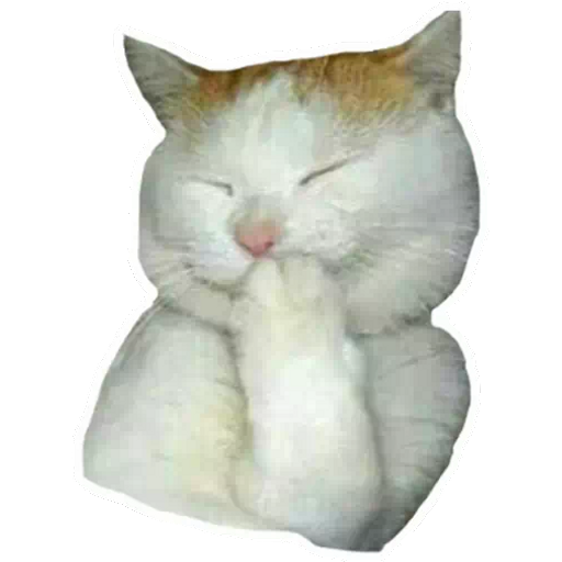 Sticker Maker - 4.11 Risa JAJAJA