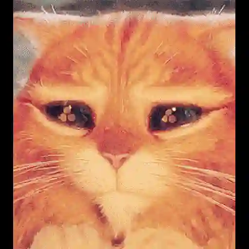 Sticker Maker - 4.6 cute feo