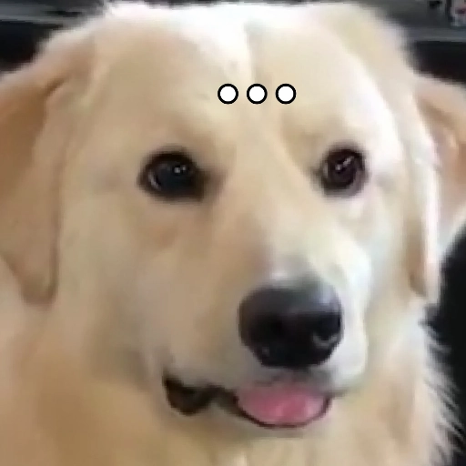 Sticker Maker - 5.11 Procesando algebra