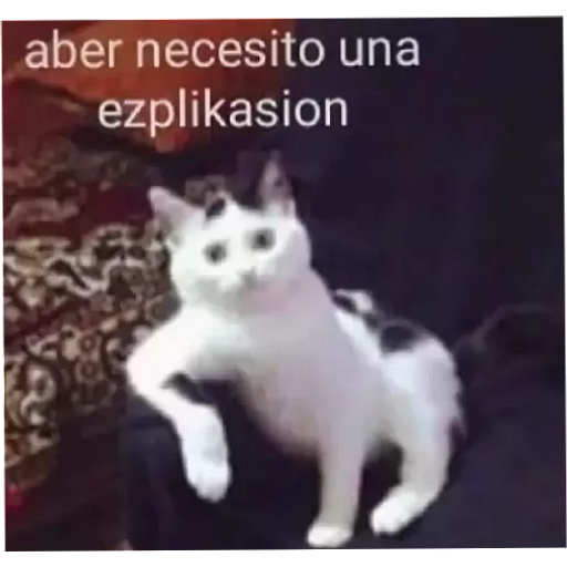 Sticker Maker - 5.11 Procesando algebra