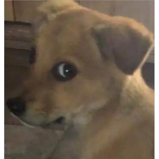 Sticker Maker - 5.12 Serio