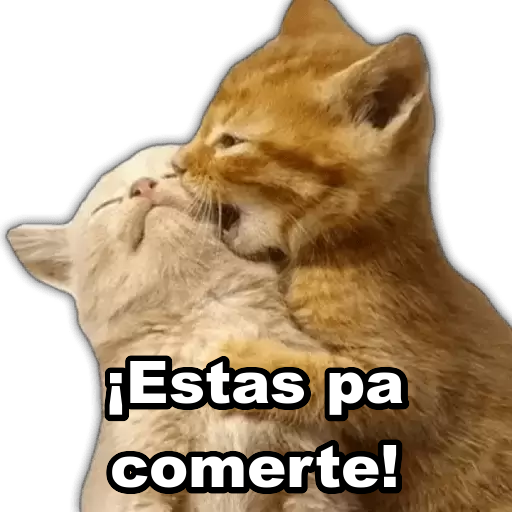 Sticker Maker - 7.19 sps_ 2