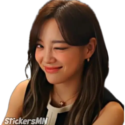 Sticker Maker - A Business Proposal ☔