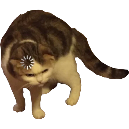 Sticker Maker - actually braindamaged