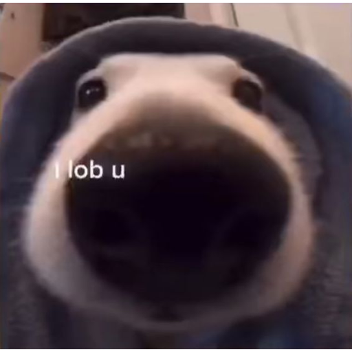 Sticker Maker - ahhhhh