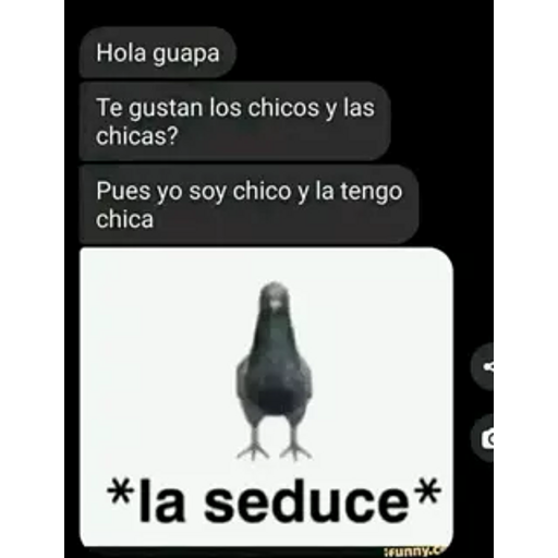 Sticker Maker - Aja II