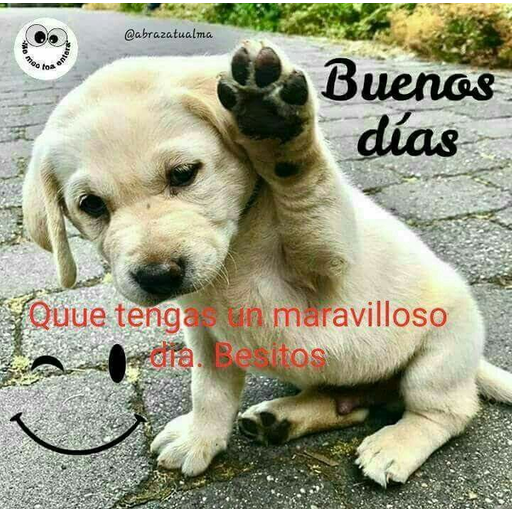 Sticker Maker - Ali stiker