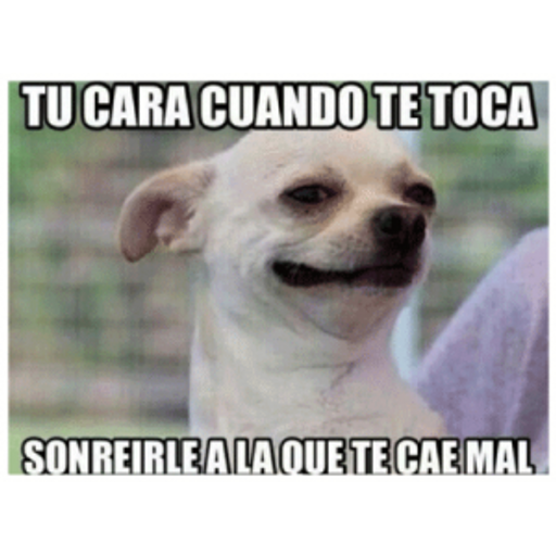 Sticker Maker - Ali stiker