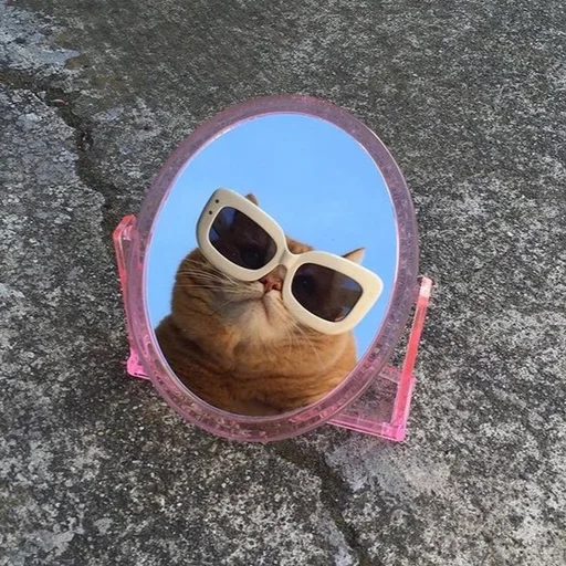 Sticker Maker - alp 10