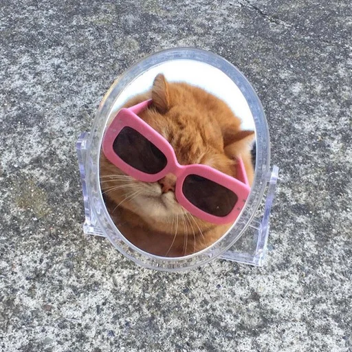 Sticker Maker - alp 10