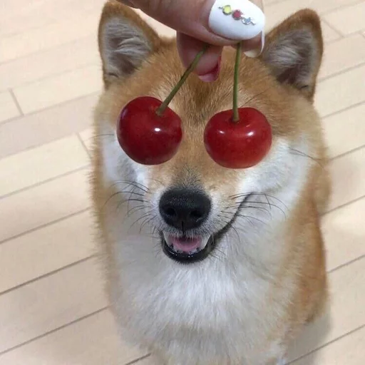 Sticker Maker - alp 10