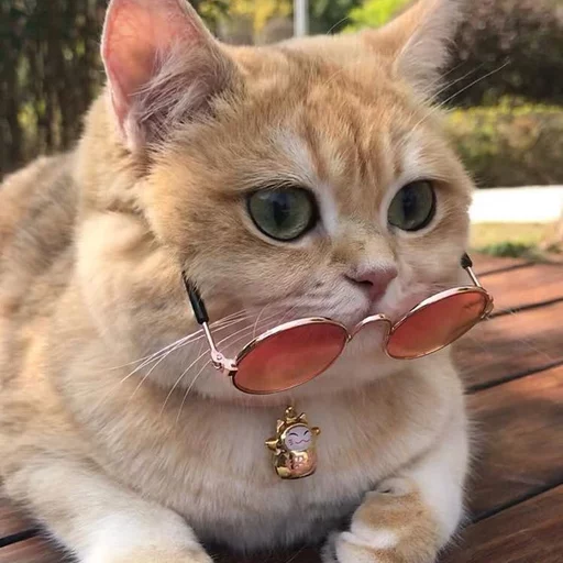 Sticker Maker - alp 11