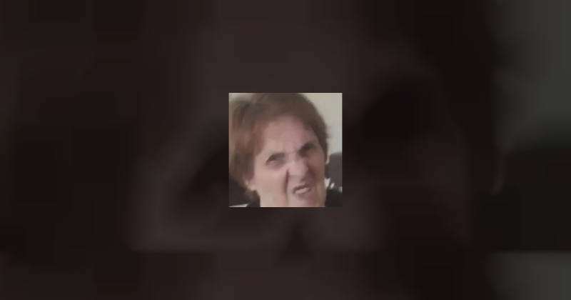 Sticker Maker - alp 5