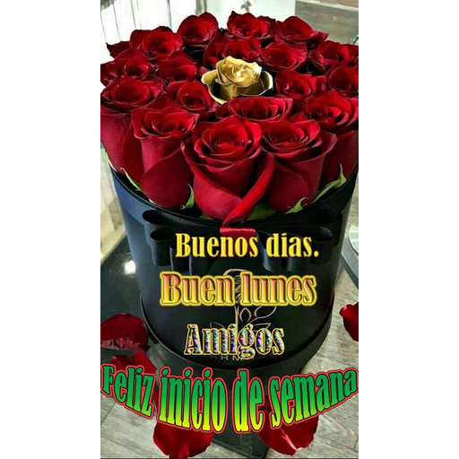 Sticker Maker - Ana Maria Barrios!