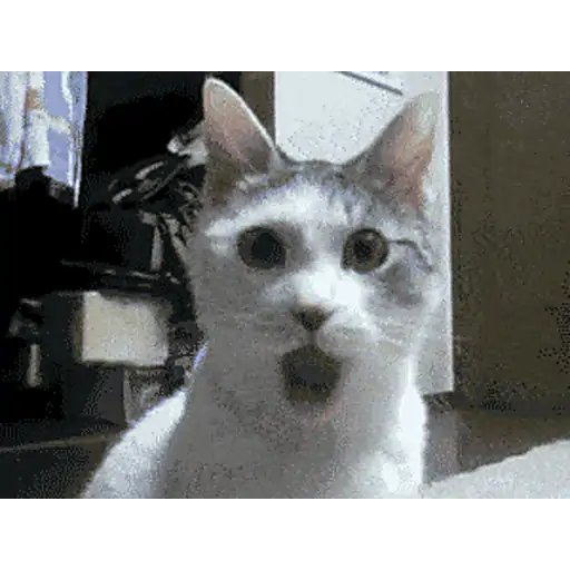 Sticker Maker - animals gif