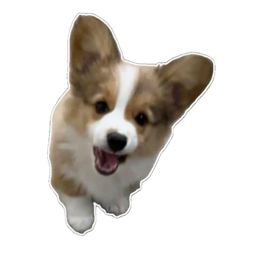 Sticker Maker - Animals Reactions