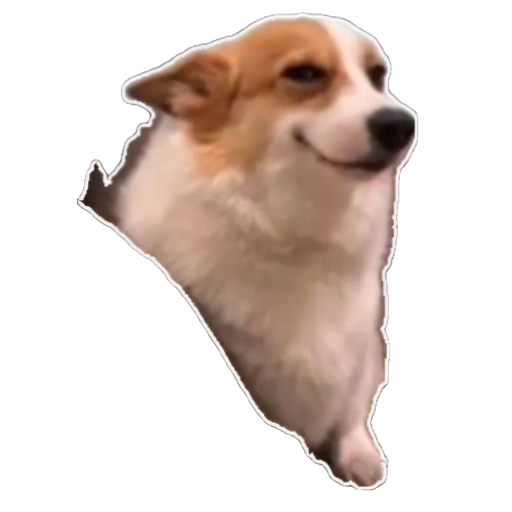 Sticker Maker - Animals Reactions