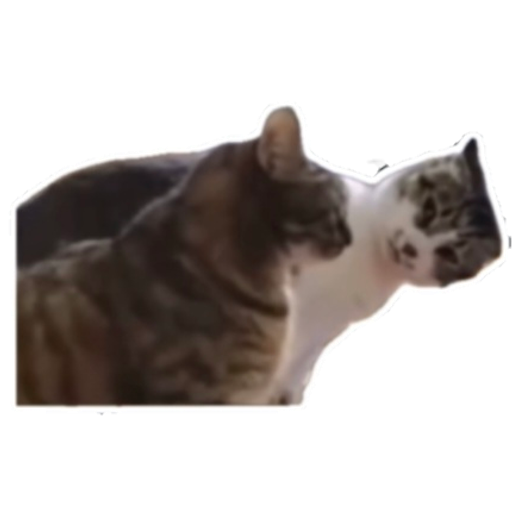 Sticker Maker - Animals Reactions