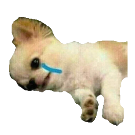 Sticker Maker - Animals Reactions