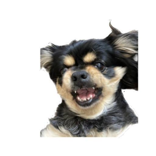 Sticker Maker - Animals Reactions