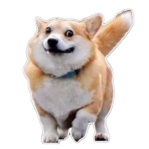 Sticker Maker - Animals Reactions