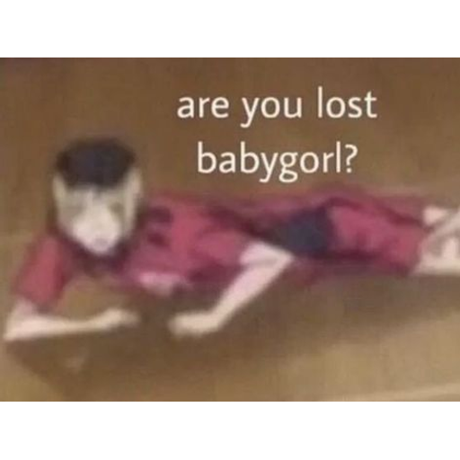Sticker Maker - Anime Memes #2