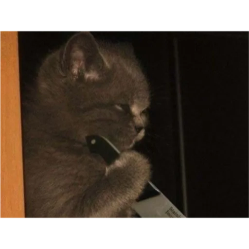 Sticker Maker - arghhh