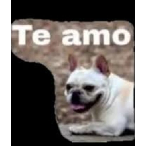 Sticker Maker - arros