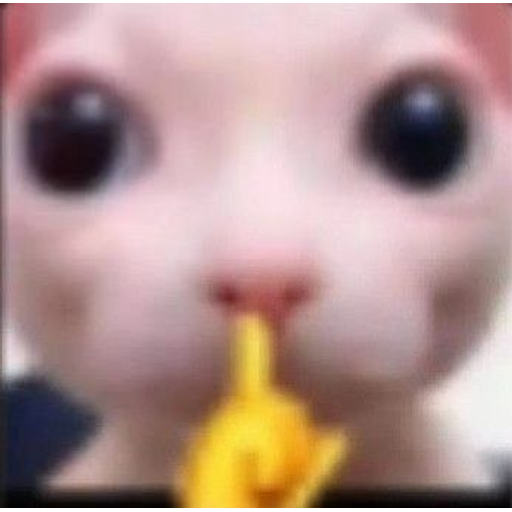 Sticker Maker - ayuda..