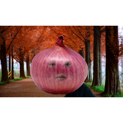 Sticker Maker - Bawang