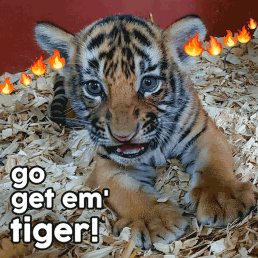 Sticker Maker - bb stickers