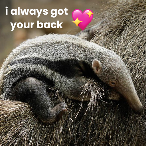 Sticker Maker - bb animals