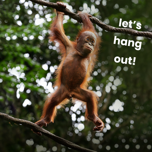 Sticker Maker - bb animals