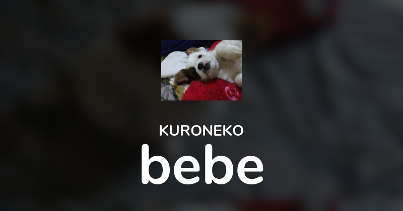 Sticker Maker - bebe