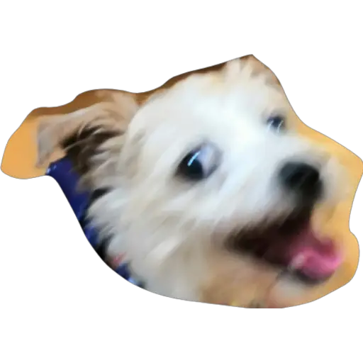 Sticker Maker - Bella