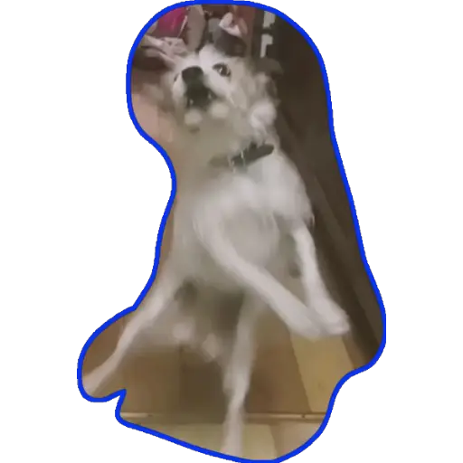 Sticker Maker - Bella