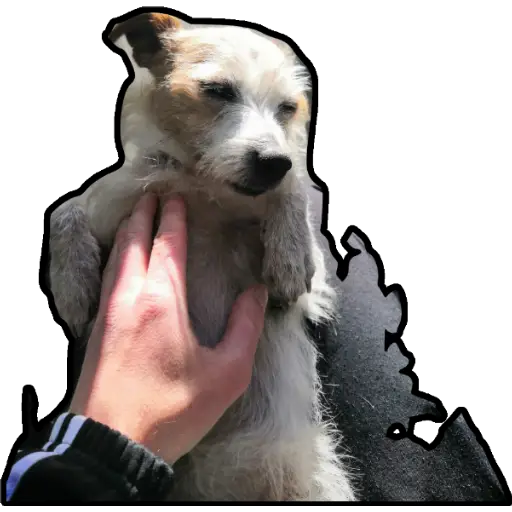 Sticker Maker - Bella