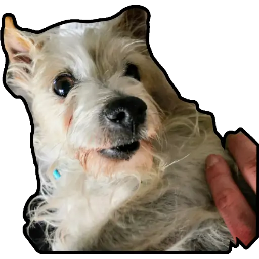 Sticker Maker - Bella