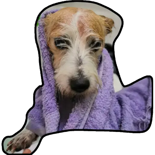 Sticker Maker - Bella