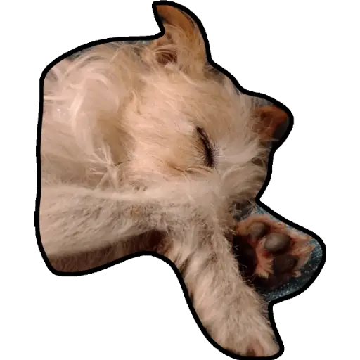 Sticker Maker - Bella