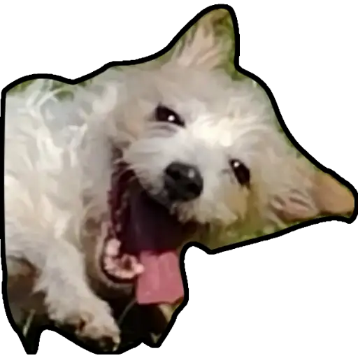 Sticker Maker - Bella