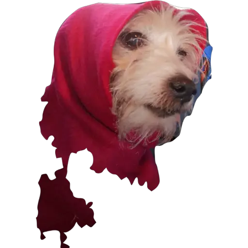 Sticker Maker - Bella